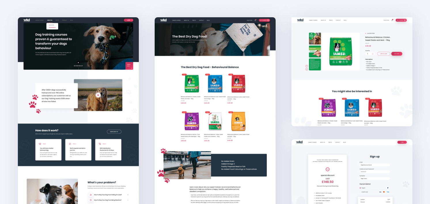ขั้นตอนการออกแบบ User Interface (UI) ก่อนและหลัง | Outsourcify