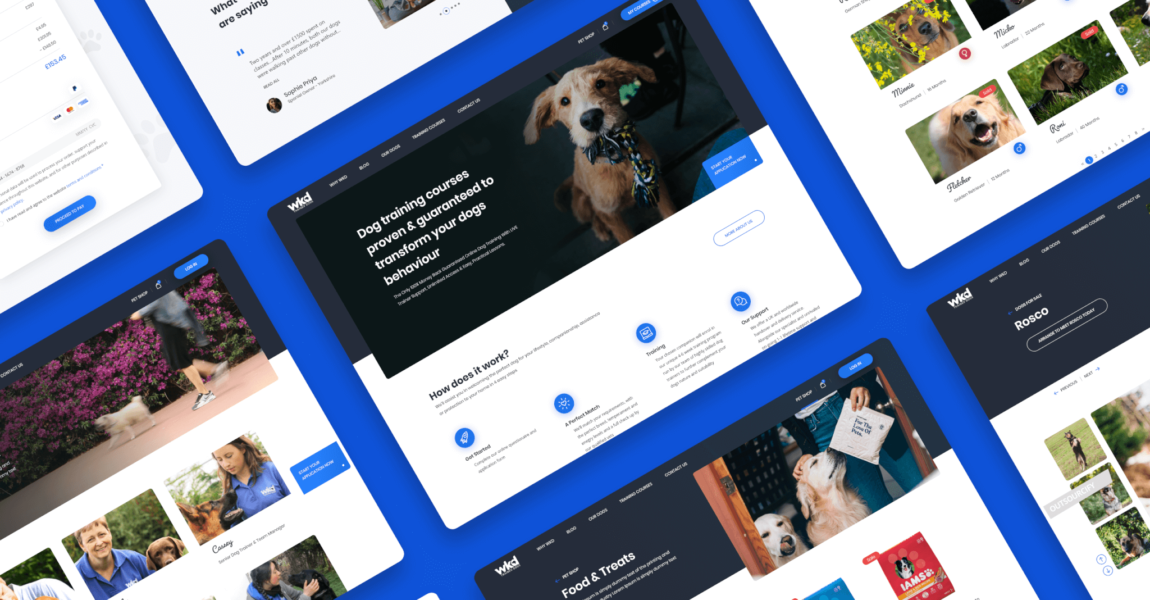 Stunning Dog Training Company Website by Outsourcify